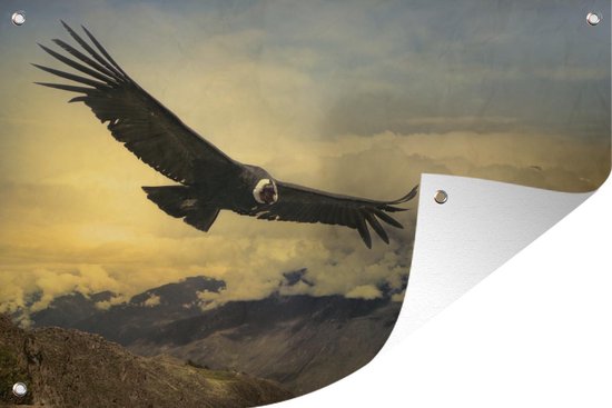 Tuinposters buiten Andes Condor tijdens de vlucht bij zonsopgang ...