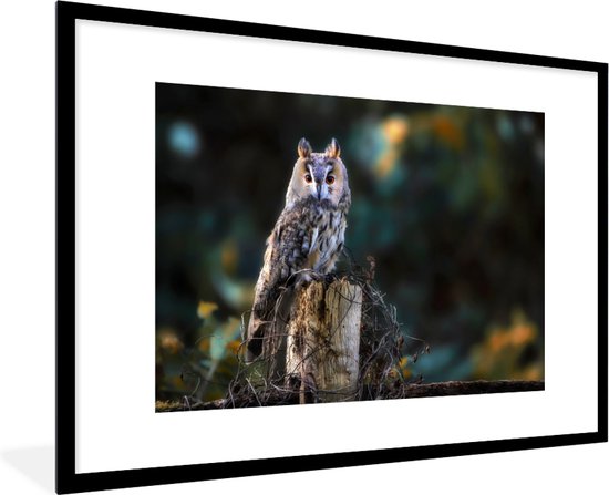 Poster - Fotolijst - Uil - Herfst - Vogel - Takken - Bladeren - 120x80 ...