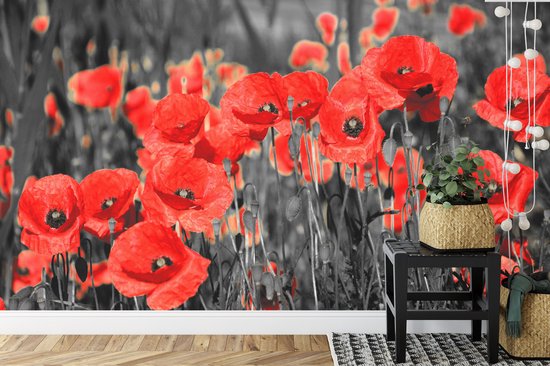 Fotobehang Klaprozen Bloemen | bol