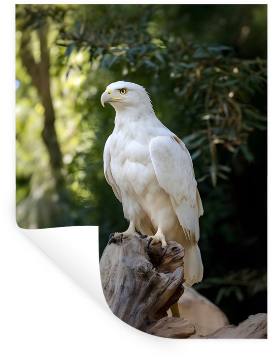 Muurstickers - Sticker Folie - Arend - Hout - Wit - Planten - 120x160 ...