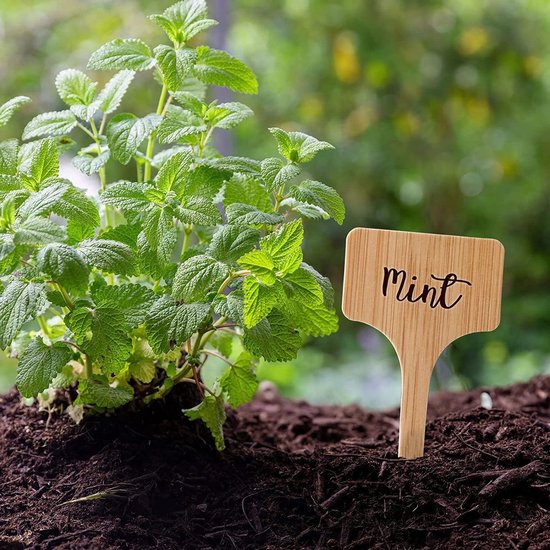 Scoby - Plantkaartjes - Plantenetiketten - Naamkaartjes ...