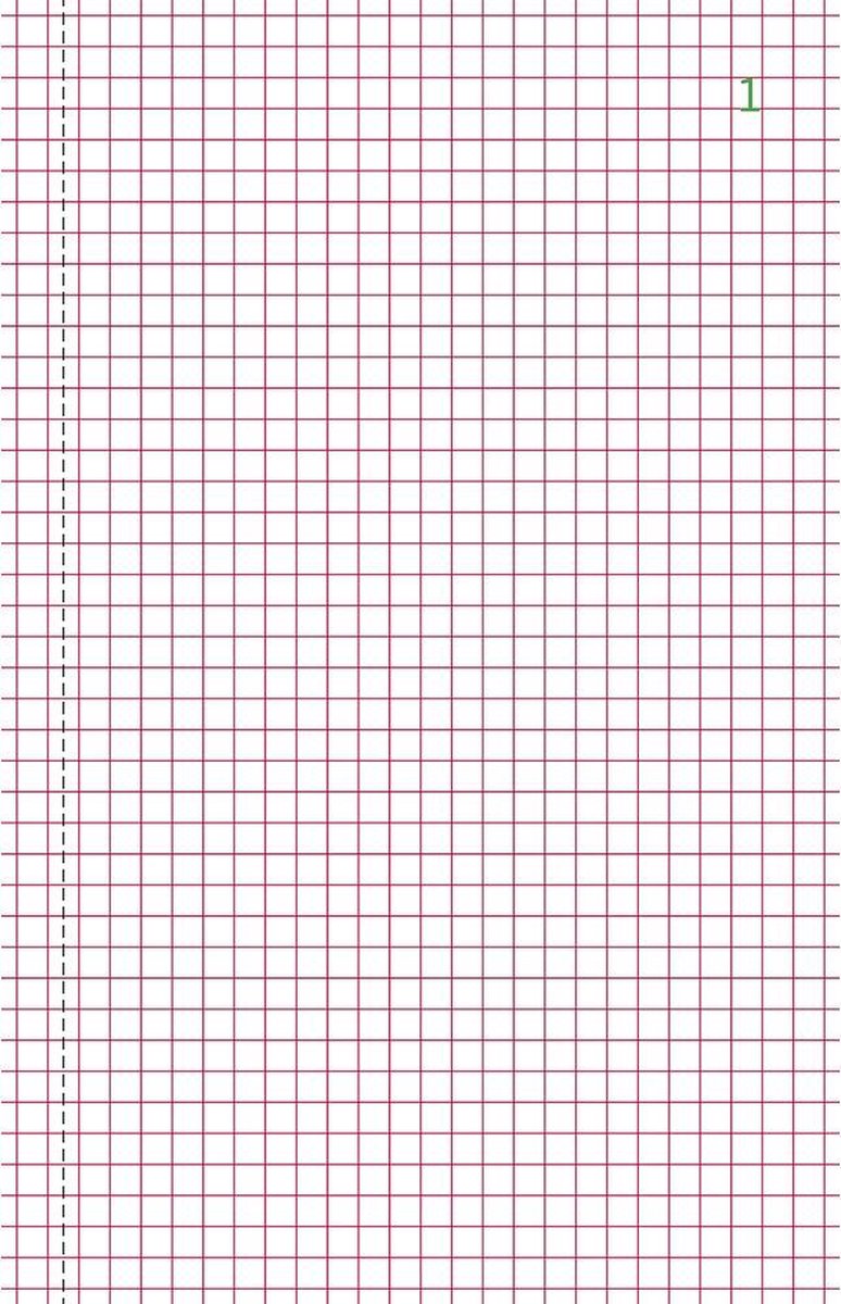 10x Doorschrijfpapier geruit 5x5 21x13,5cm 50 bladen zelfkopiërend ...