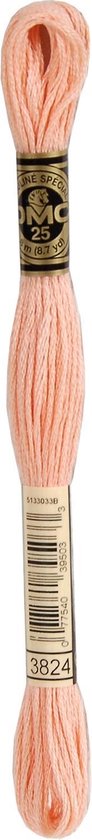 DMC Borduurgaren-3824 Abrikoos | bol.com