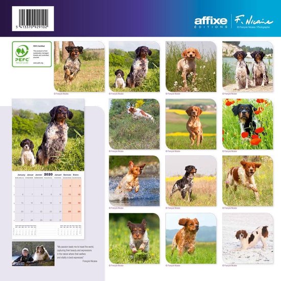 Brittany Spaniel Kalender 2023 | bol.com