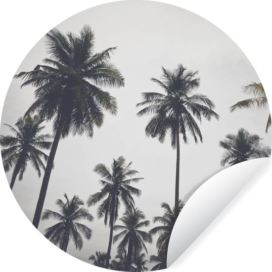 WallCircle - Muurstickers - Behangcirkel - Palmboom - Tropisch - Natuur - 100x100 cm -... | bol