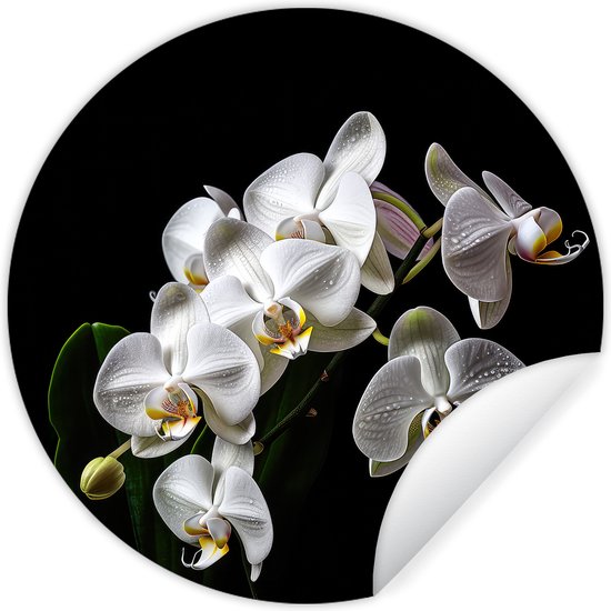 WallCircle - Muurstickers - Behangcirkel - Orchidee - Bloemen - Wit - Natuur - Zwart -... | bol