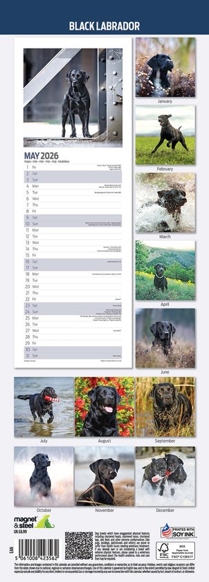 Labrador Retriever Kalender Zwart 2026 Slimline | bol