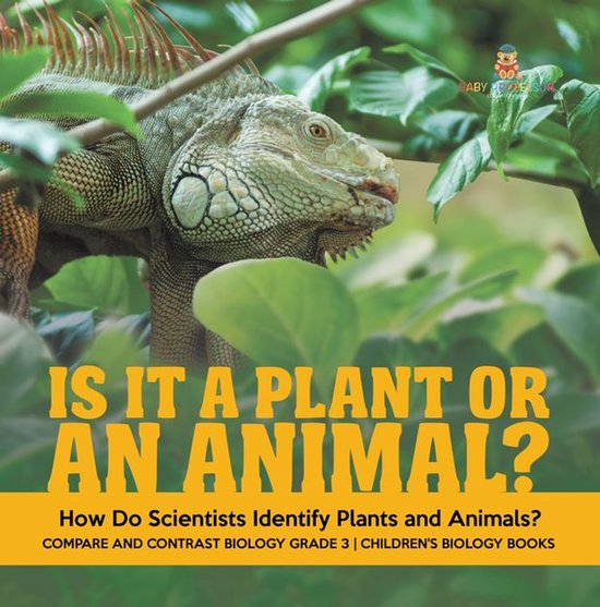 Is It a Plant or an Animal? How Do Scientists Identify Plants and ...