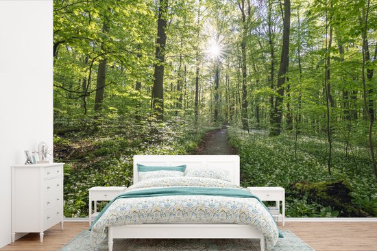 Behang - Fotobehang Beukenbomen met een bospad - Breedte 420 cm x ...