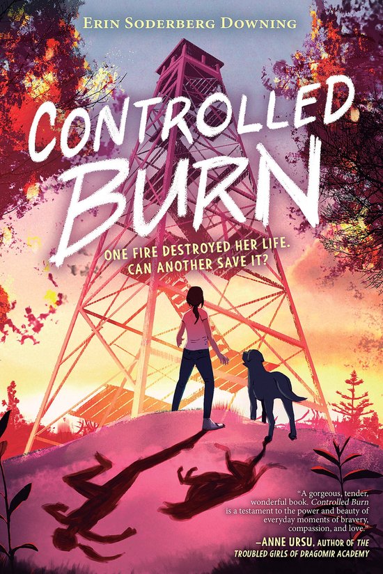 Controlled Burn (ebook), Erin Soderberg Downing | 9781338776072 | Boeken | bol
