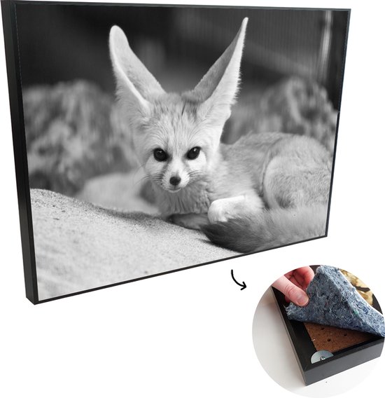 Akoestische Panelen - Geluidsisolatie - Akoestisch Wandpaneel - Wanddecoratie -... | bol