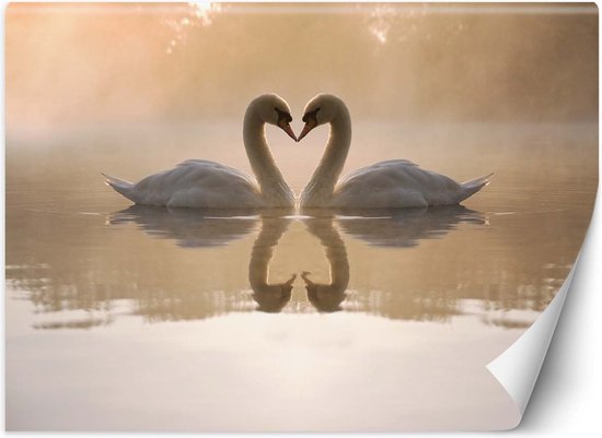Trend24 - Behang - Zwanen In Liefde - Behangpapier - Fotobehang Dieren ...