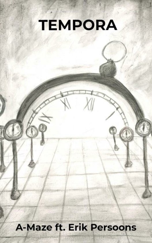 TEMPORA, A-Maze Beverlo | 9789403662367 | Boeken | bol