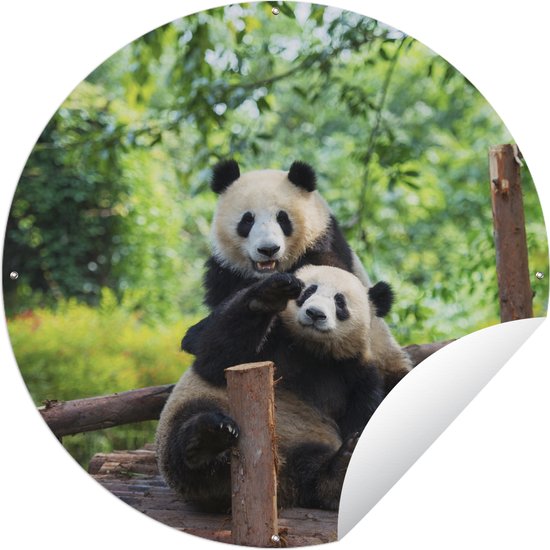 Affiche de jardin autour des pandas - Affiche de jardin deux pandas ...