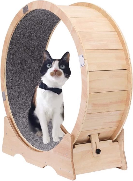 Loopwiel kat - Katten loopwiel - Looprad kat - Kattenwiel - Looprad | bol