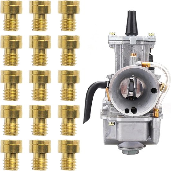 Carburateur sproeierset - Complete set van 15 sproeiers voor diverse ...