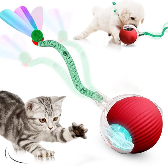 speelgoed de Chat Interactif Ballon pour Chats d'Intérieur – Ballon de ...