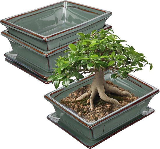 Set van 2 Bonsai Potten - Ondiepe Succulenten Potten 19cm voor Binnen ...