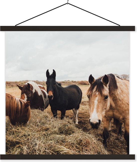 Posterhanger incl. Poster 120x120 cm - Schoolplaat - Dieren - Paard - Paarden -... | bol