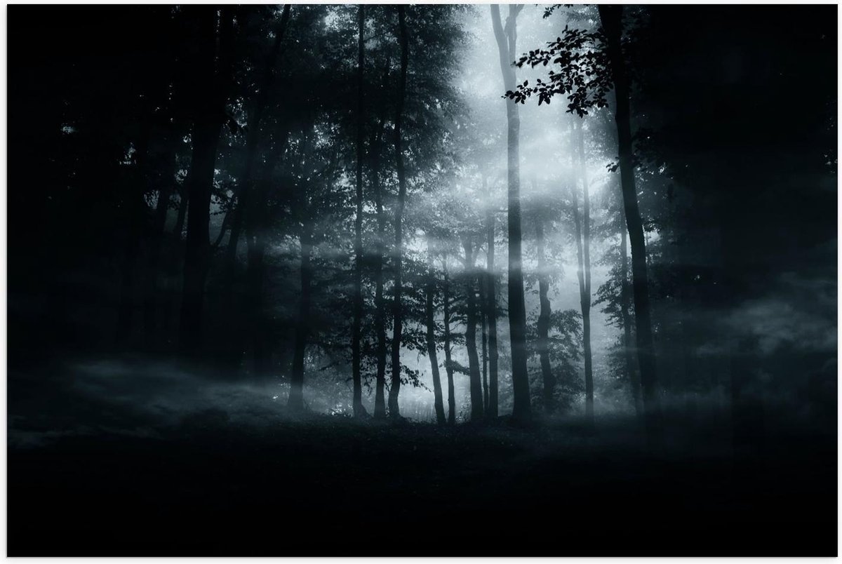 bol.com | Poster – Mist in Donker Bos - 60x40cm Foto op Posterpapier