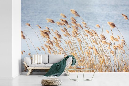Behang - Fotobehang Riet naast een zee - Breedte 390 cm x hoogte 260 cm ...
