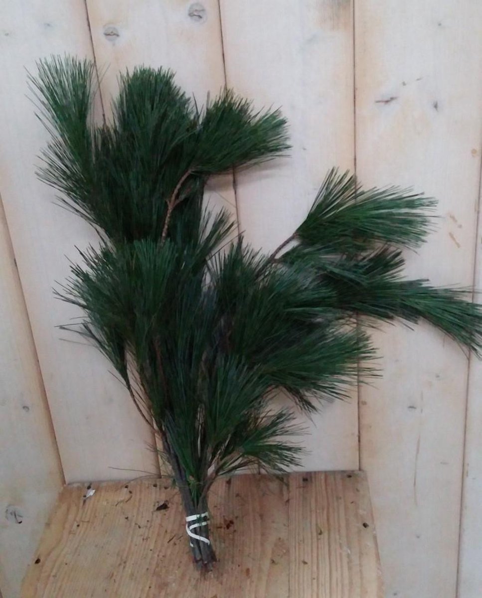 4 stuks Kerstgroen langwerpige naalden Warentuin Natuurlijk | bol.com