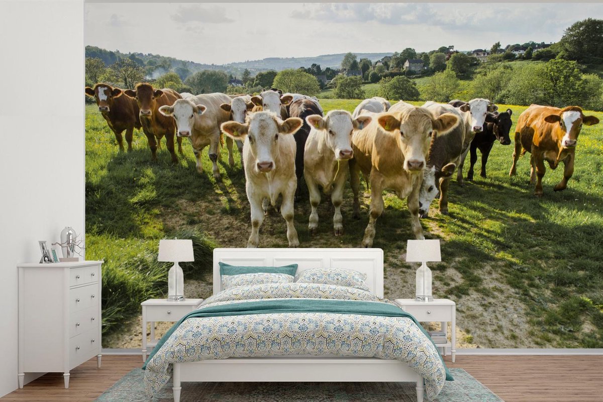 Behang - Fotobehang Boerderij - Koeien - Gras - Breedte 600 cm x hoogte ...