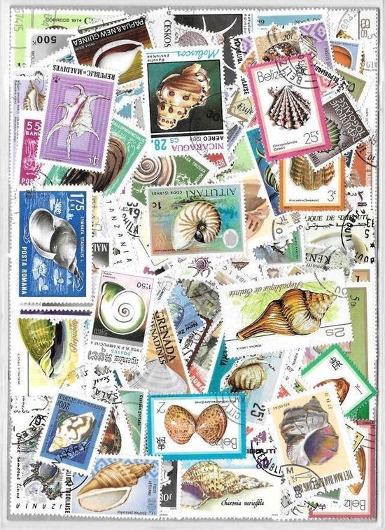 Schelpen – Luxe postzegel pakket (C5 formaat) : collectie van 200 ...