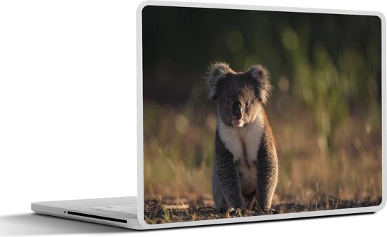 Laptop sticker - 14 inch - Koala - Zon - Dier - Kids - Jongens - Meiden ...