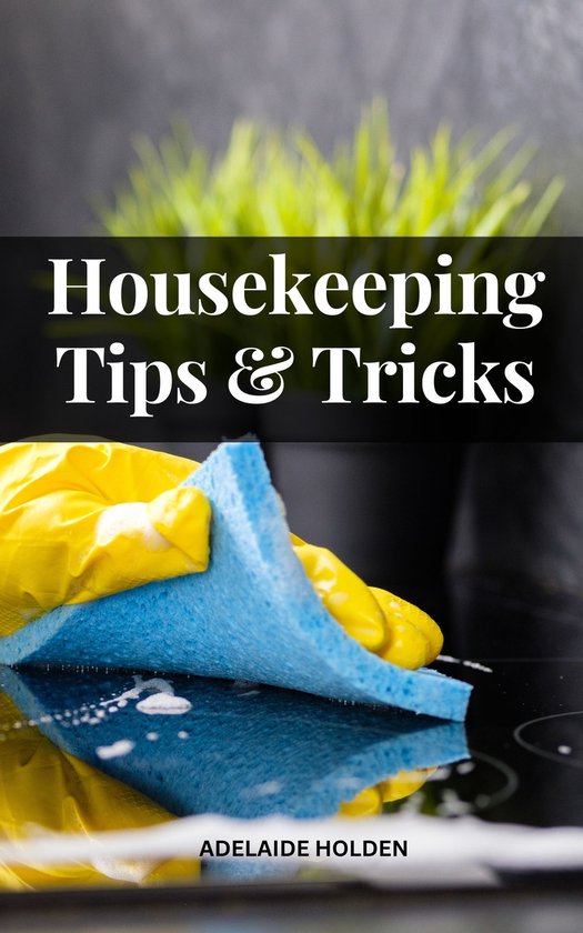 Housekeeping Tips And Tricks (ebook), Adelaide Holden | 1230006457310 | Boeken | bol