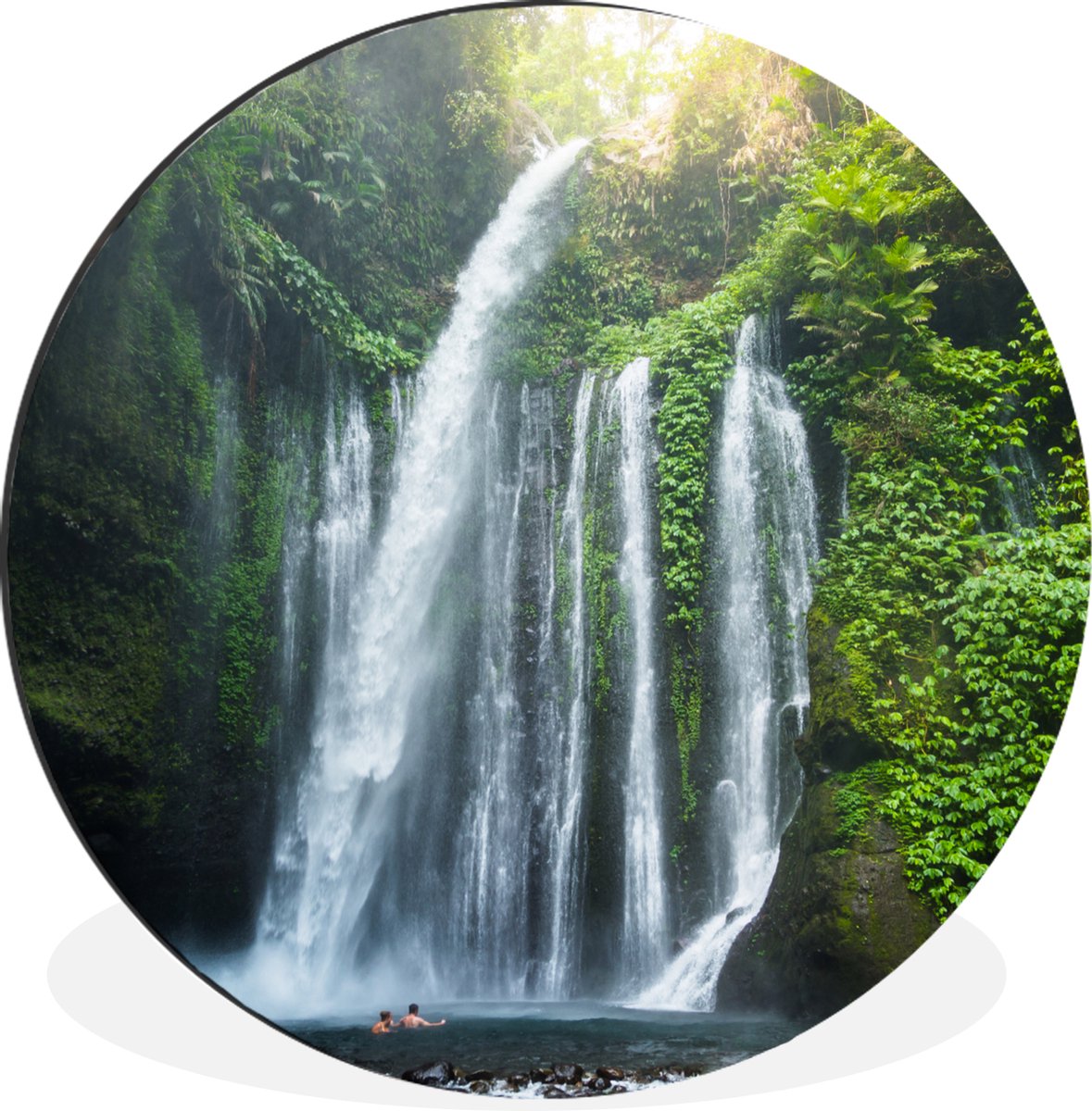 Cercle mural - Cercle mural - Cascade dans la jungle du Parc National ...