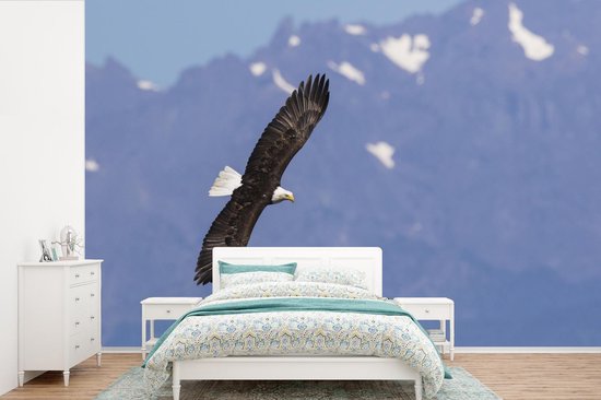 Behang - Fotobehang Amerikaanse zee arend - Adelaar - Vliegende ...