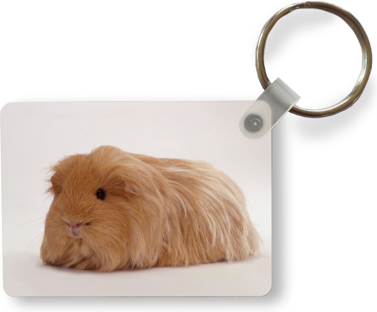 Sleutelhanger - Sheltie cavia - Uitdeelcadeautjes - Plastic ...