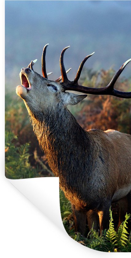 Muurstickers - Sticker Folie - Hert - Bos - Mist - 60x120 cm ...