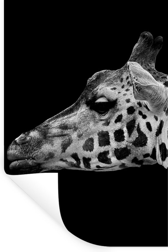 Muurstickers - Sticker Folie - Dieren - Giraffe - Zwart - Wit - 80x120 cm - Plakfolie... | bol